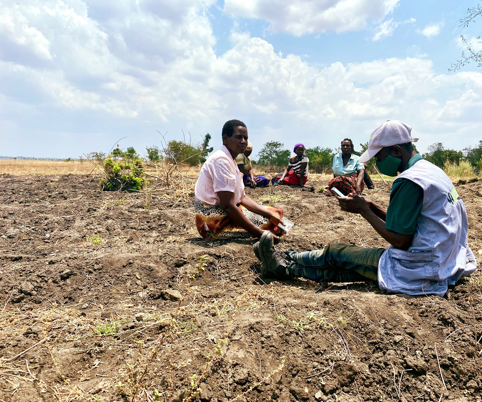 GGEM Farming - Rippleworks