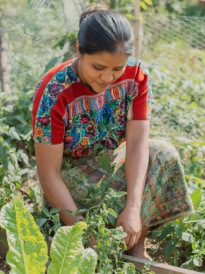 Wakami - Rippleworks